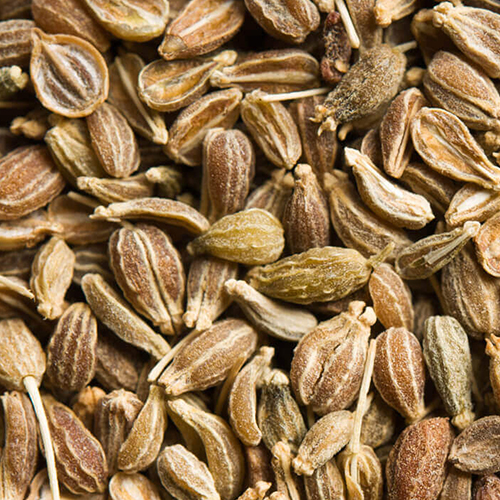 Aniseed – Queen Herbs